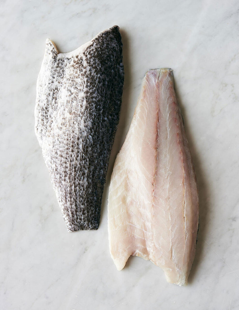 Cobia Fresh From The Coast North Carolina