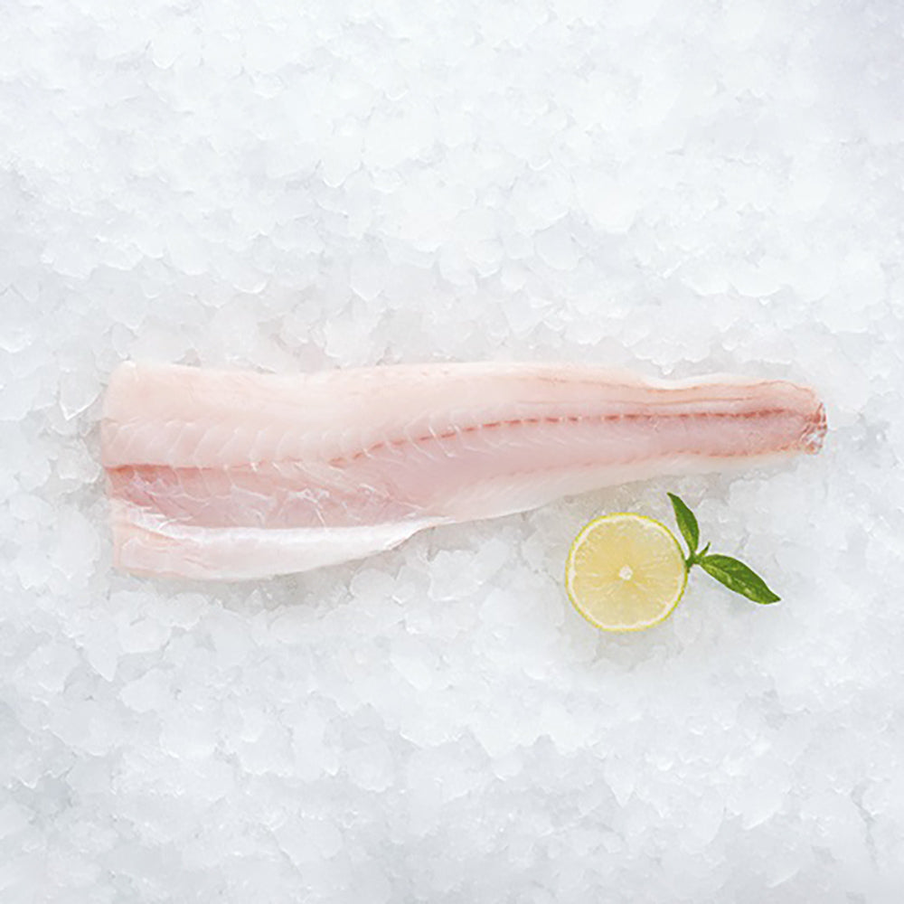 Snapper- Fresh Caught North Carolina