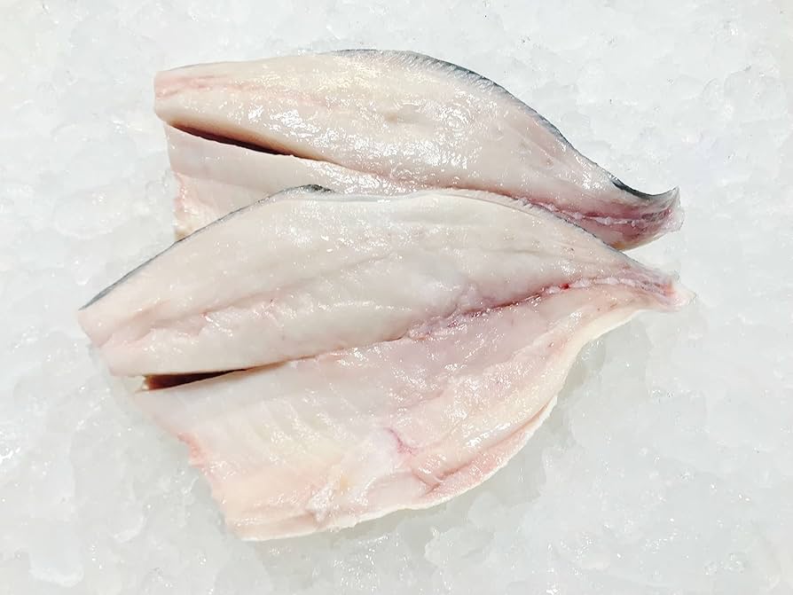 Cobia Fresh From The Coast North Carolina