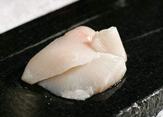 Atlantic Halibut From Northern Coasts