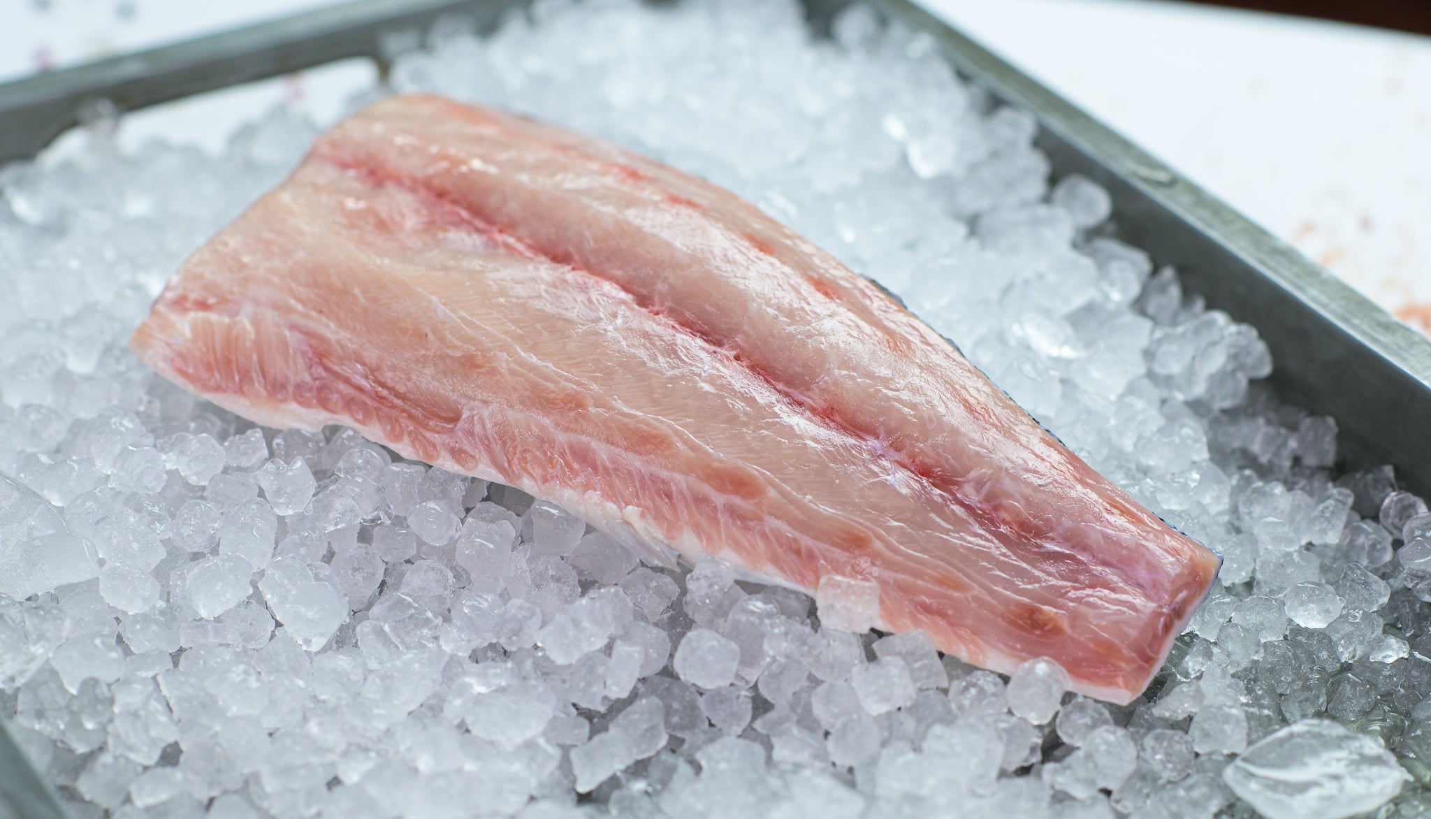 Fresh Fish- Madden's Seafood Market Raleigh NC