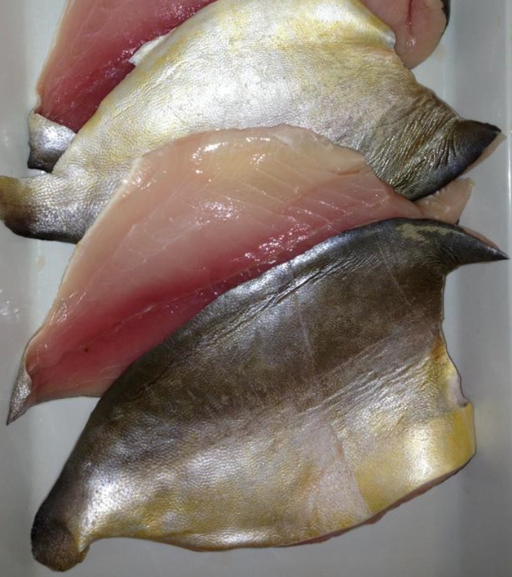 Florida Pompano Madden's Seafood Market Raleigh NC