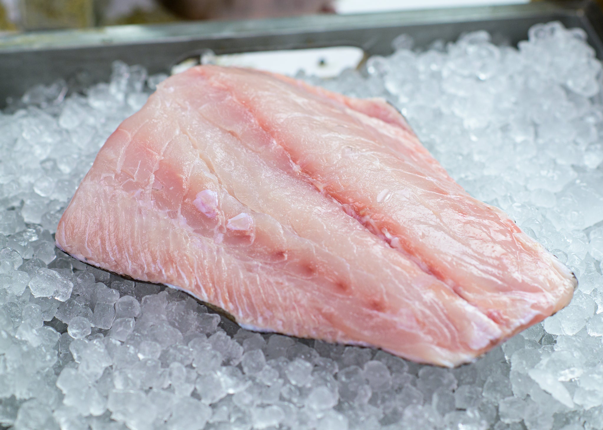 Fresh Fish- Madden's Seafood Market Raleigh NC